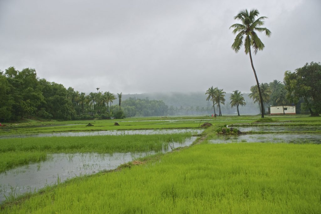 Beautiful Karnataka - 2 Best Train Routes For A Bonny Travel